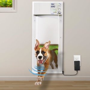 10 Best Automatic Dog Doors (2025 Reviews) - Modern Day Pets