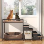 7 Best Window Dog Perch (2025 Reviews) - Modern Day Pets