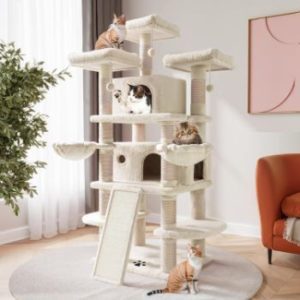 10 Best Cat Trees for Large Cats (2026 Reviews) - Modern Day Pets