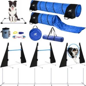 10 Best Agility Obstacles for Dogs: Backyard & Indoor Training - Modern ...