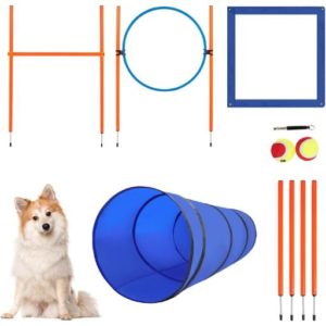 10 Best Agility Obstacles for Dogs: Backyard & Indoor Training - Modern ...