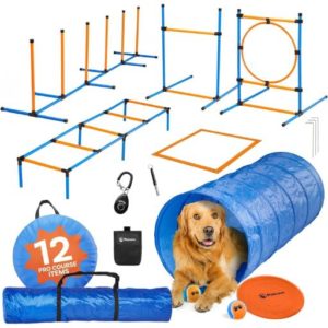 10 Best Agility Obstacles for Dogs: Backyard & Indoor Training - Modern ...