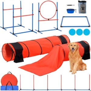 10 Best Agility Obstacles for Dogs: Backyard & Indoor Training - Modern ...